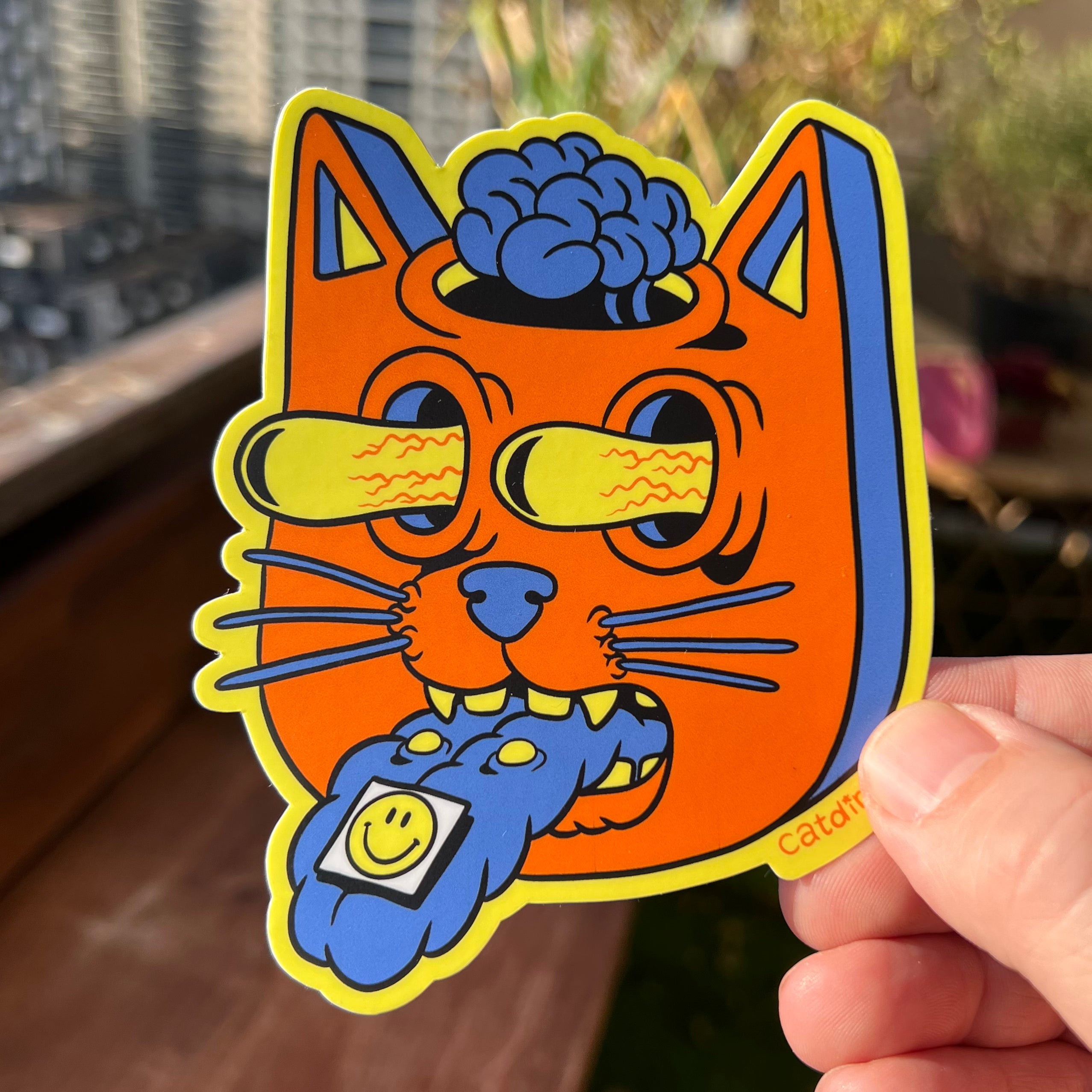 CatDirty